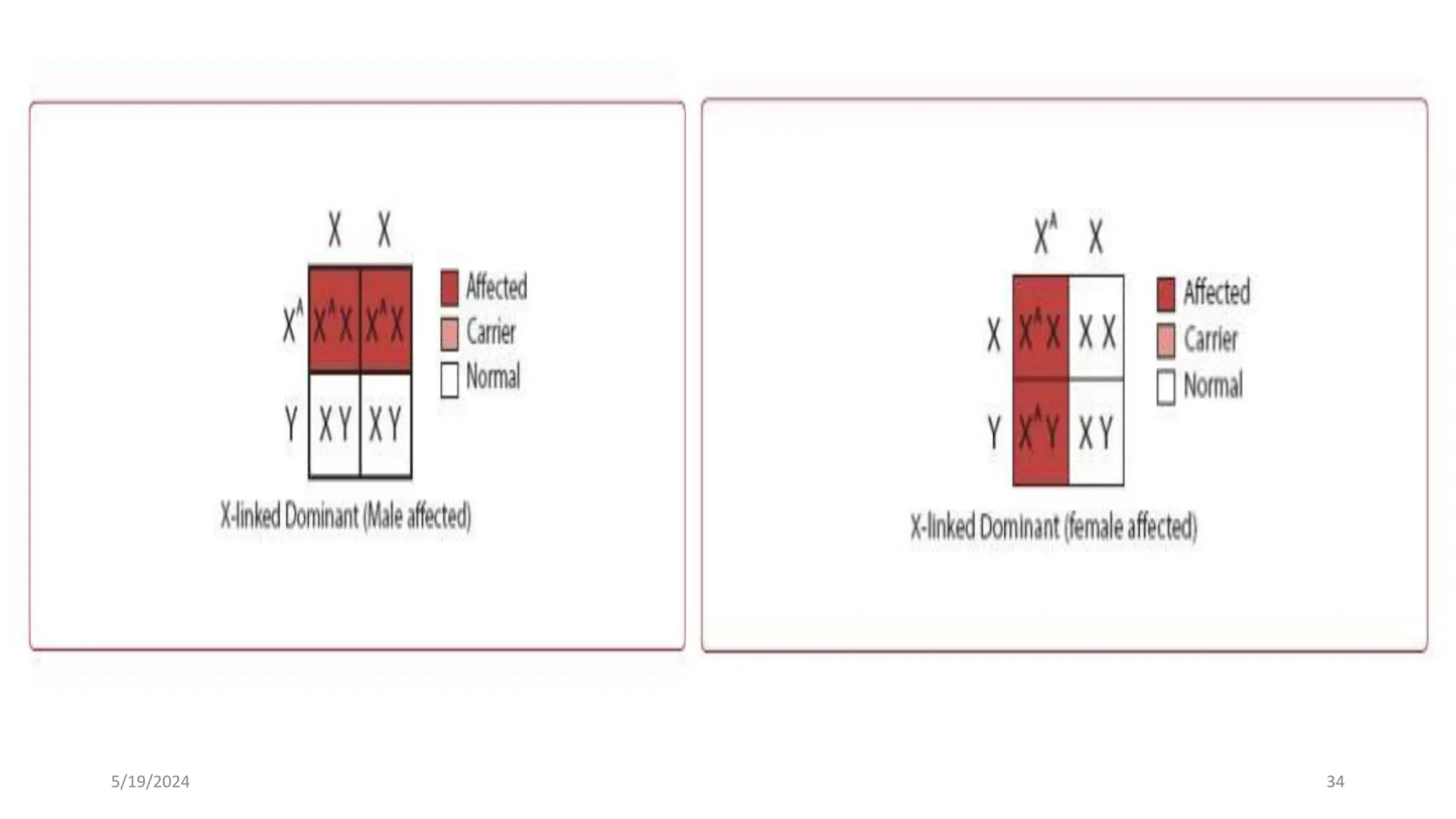 Inheritance Pattern of Orthopedics Syndrome.pptx