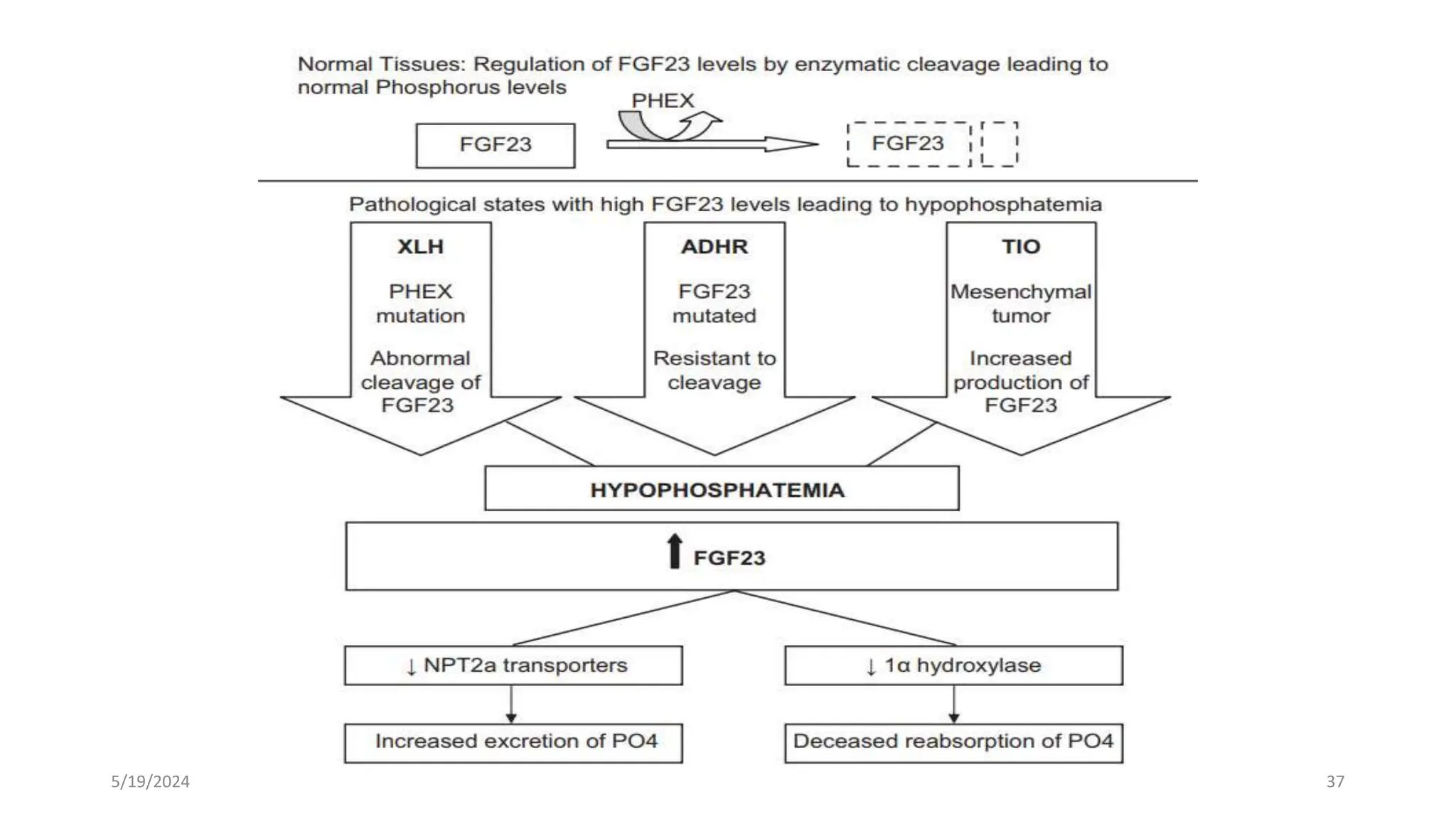 Inheritance Pattern of Orthopedics Syndrome.pptx