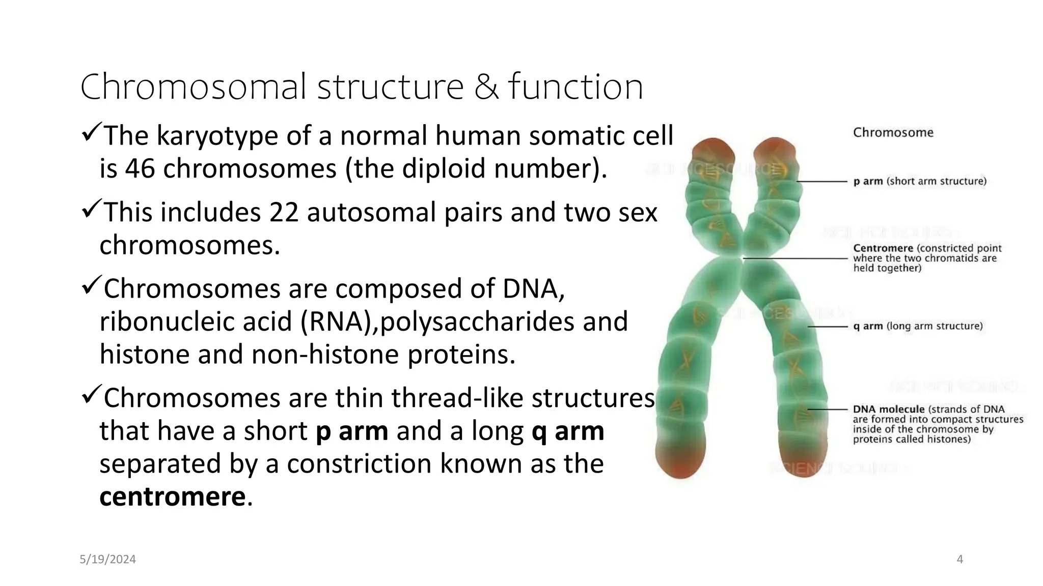 Inheritance Pattern of Orthopedics Syndrome.pptx
