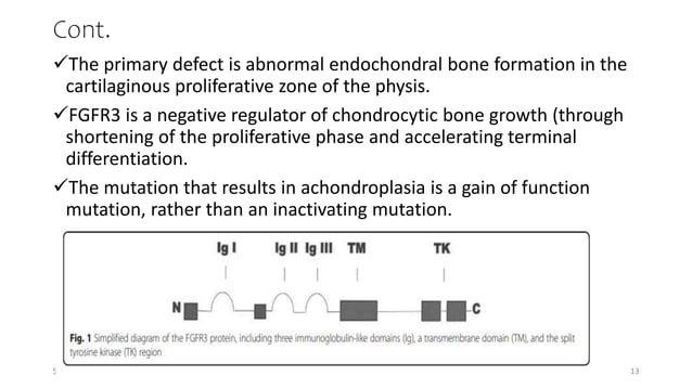 Inheritance Pattern of Orthopedics Syndrome.pptx