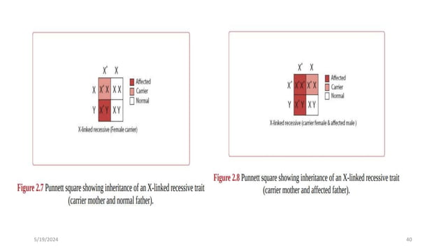 Inheritance Pattern of Orthopedics Syndrome.pptx