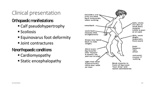 Inheritance Pattern of Orthopedics Syndrome.pptx
