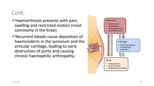 Inheritance Pattern of Orthopedics Syndrome.pptx
