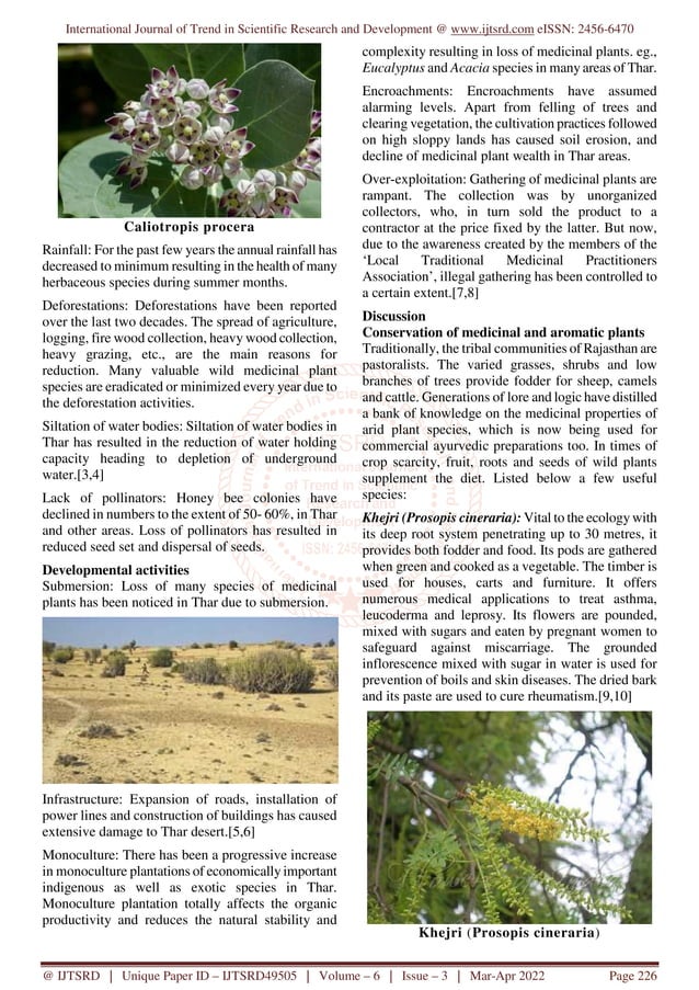 Loss of Flora of Ethnobotanical Significance in Indian Thar Desert and its Conservation ...