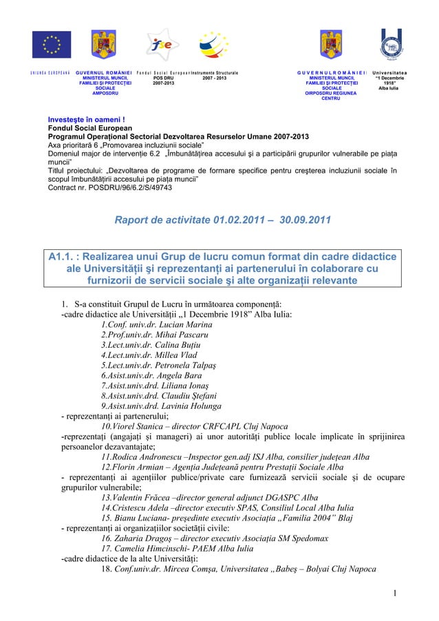 35 raport final_de_activitate_a_grupului_de_lucru | PDF