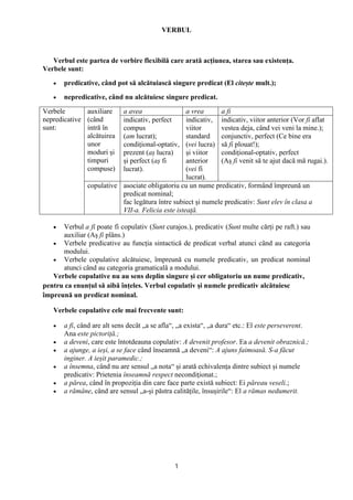 35_verbul.docx