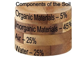 36.component of soil A Lecture By Mr. Allsh Dad Khan | PPTX