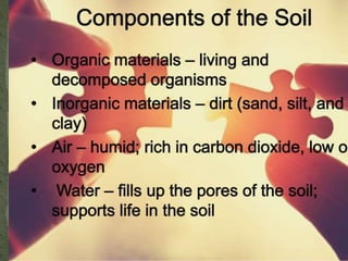 36.component of soil A Lecture By Mr. Allsh Dad Khan | PPTX