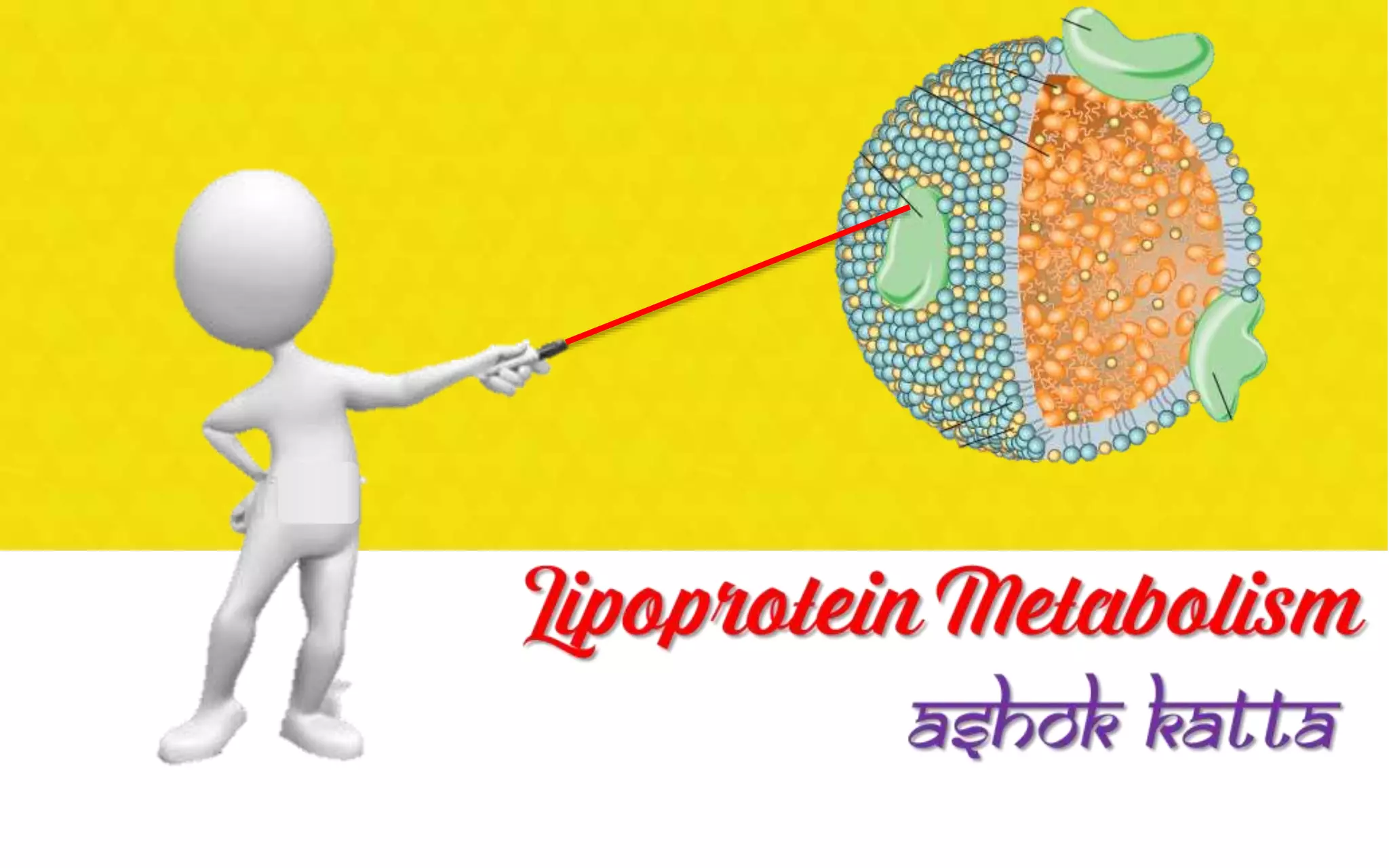 Lipoprotein metabolism - (transport of lipids in the Blood) | PPSX