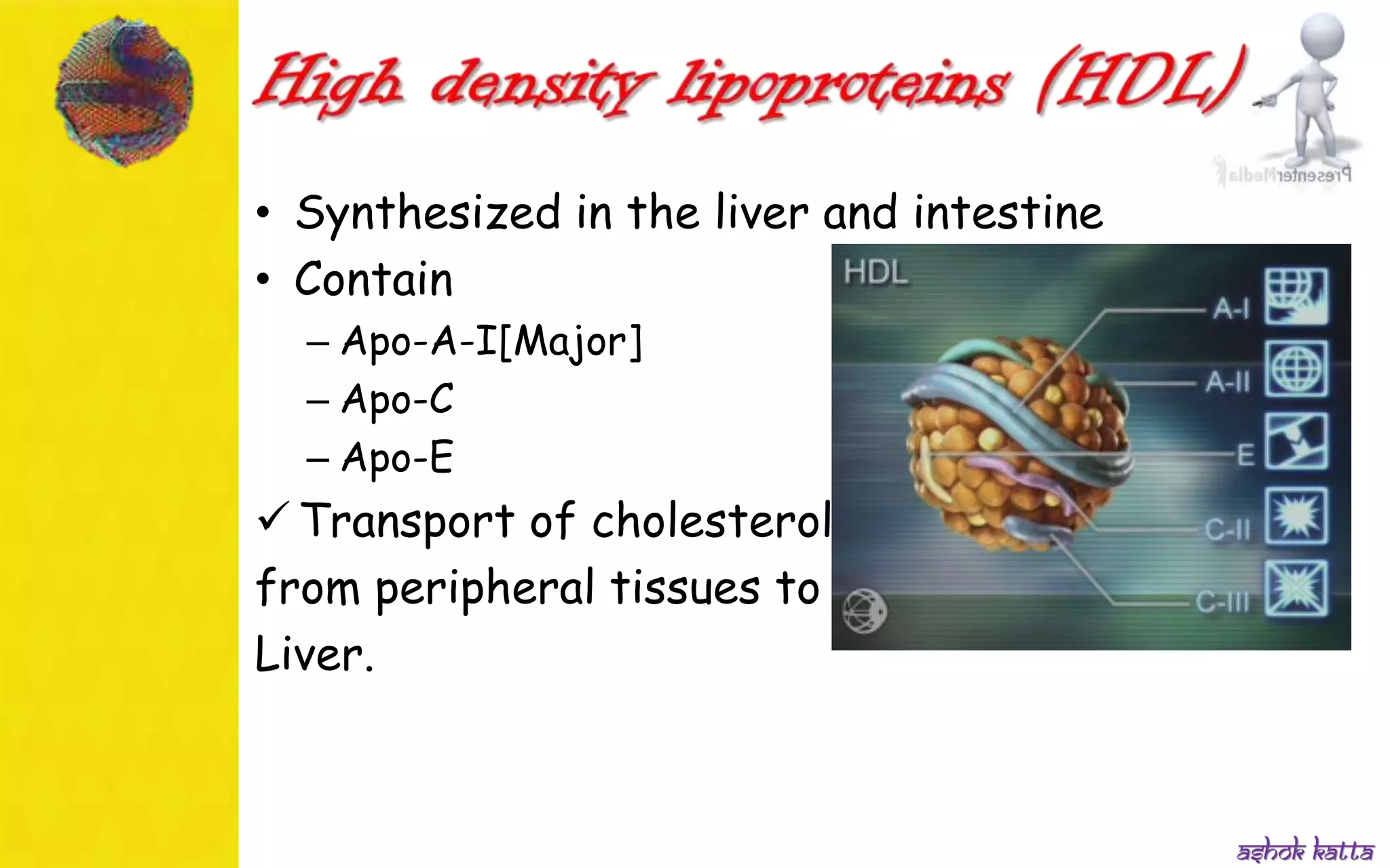 Lipoprotein metabolism - (transport of lipids in the Blood) | PPSX