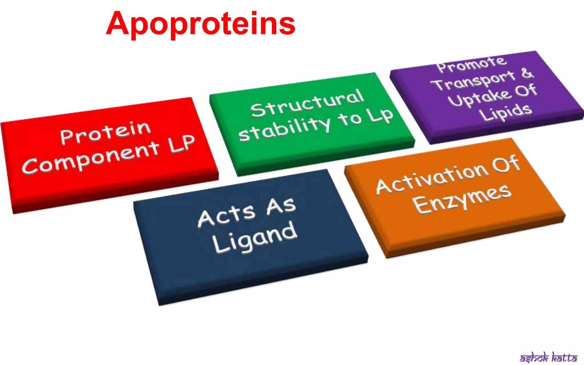 Lipoprotein metabolism - (transport of lipids in the Blood) | PPSX