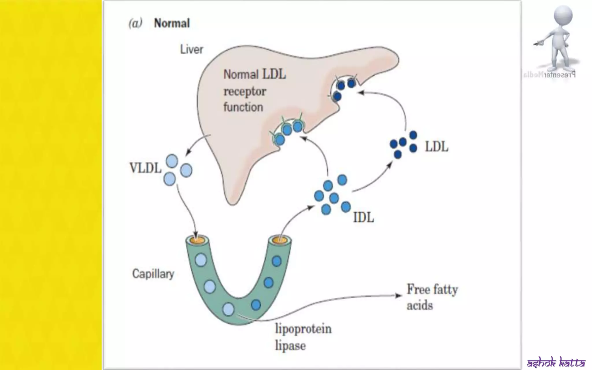 Lipoprotein metabolism - (transport of lipids in the Blood) | PPSX