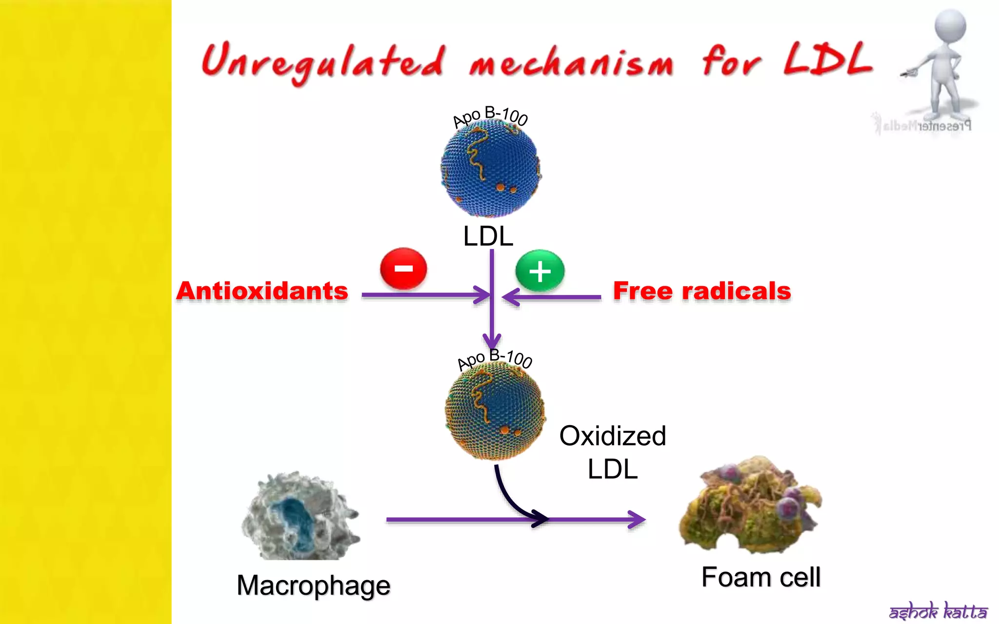 Lipoprotein metabolism - (transport of lipids in the Blood) | PPSX