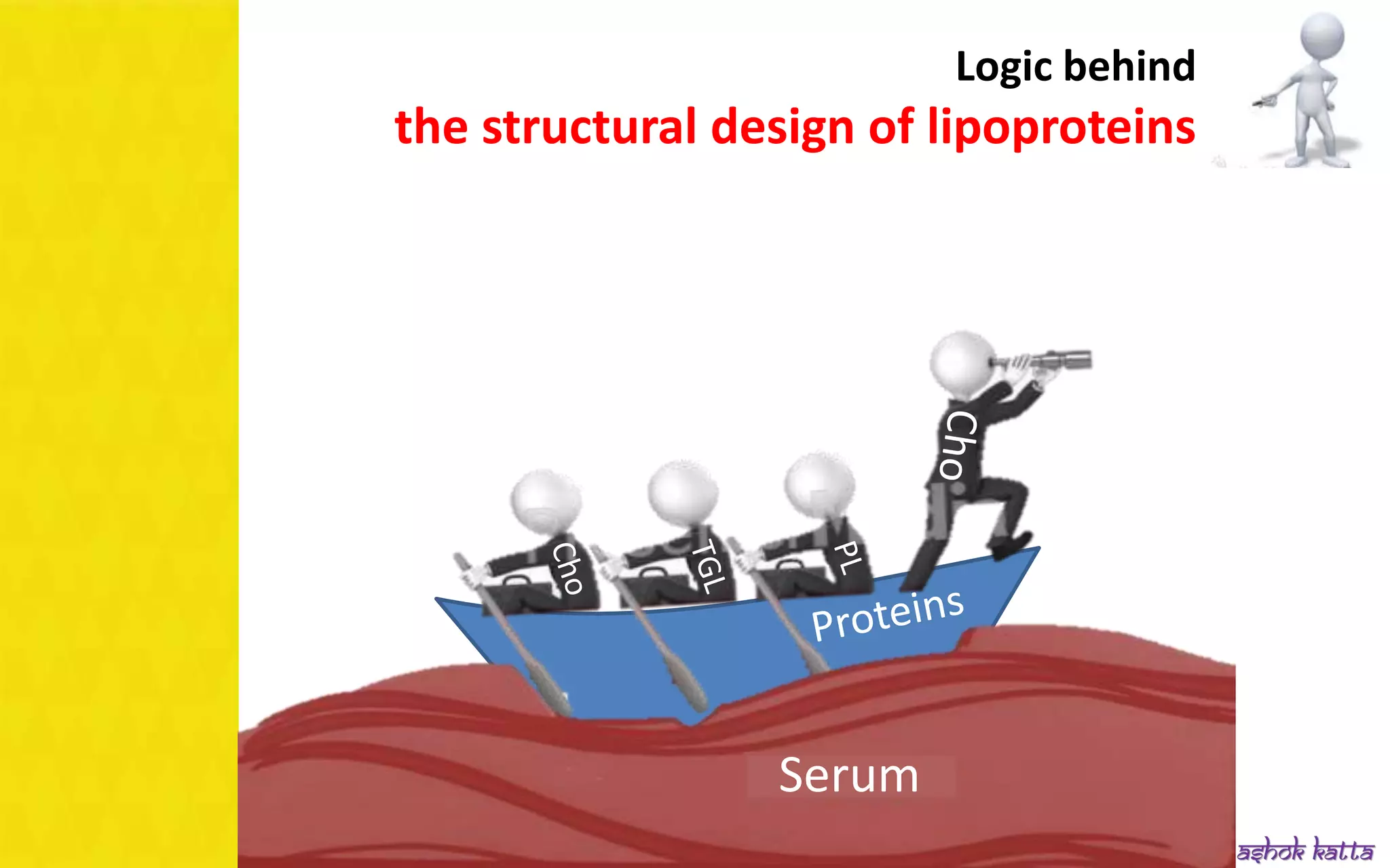 Lipoprotein metabolism - (transport of lipids in the Blood) | PPSX