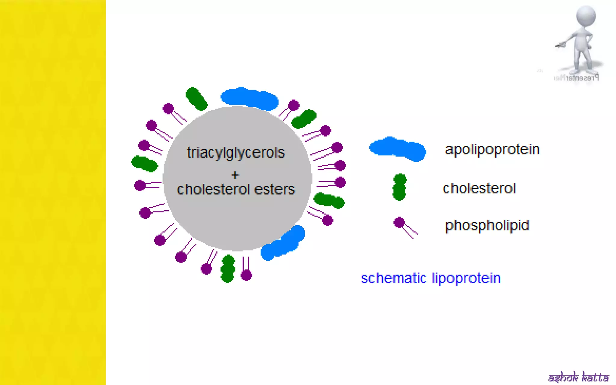 Lipoprotein metabolism - (transport of lipids in the Blood) | PPSX