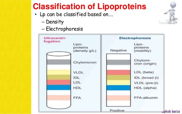Lipoprotein metabolism - (transport of lipids in the Blood)