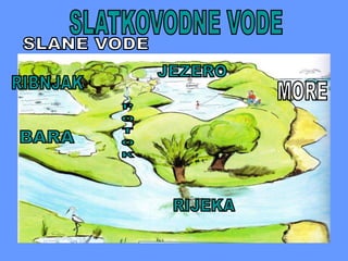 36. mo- Tekuce vode.ppt