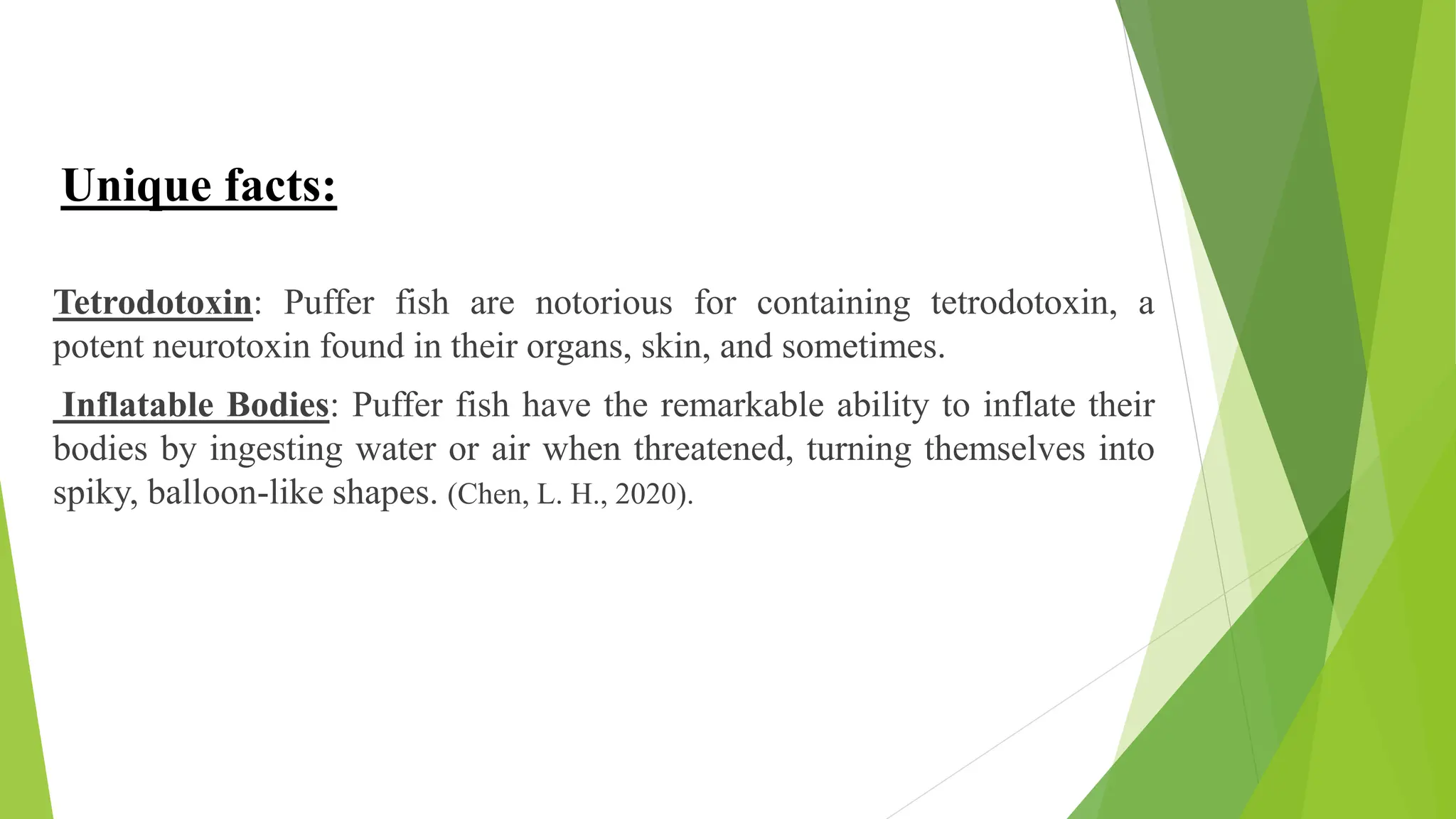 Puffer fish introduction, Morphology and its behaviour characteristics ...