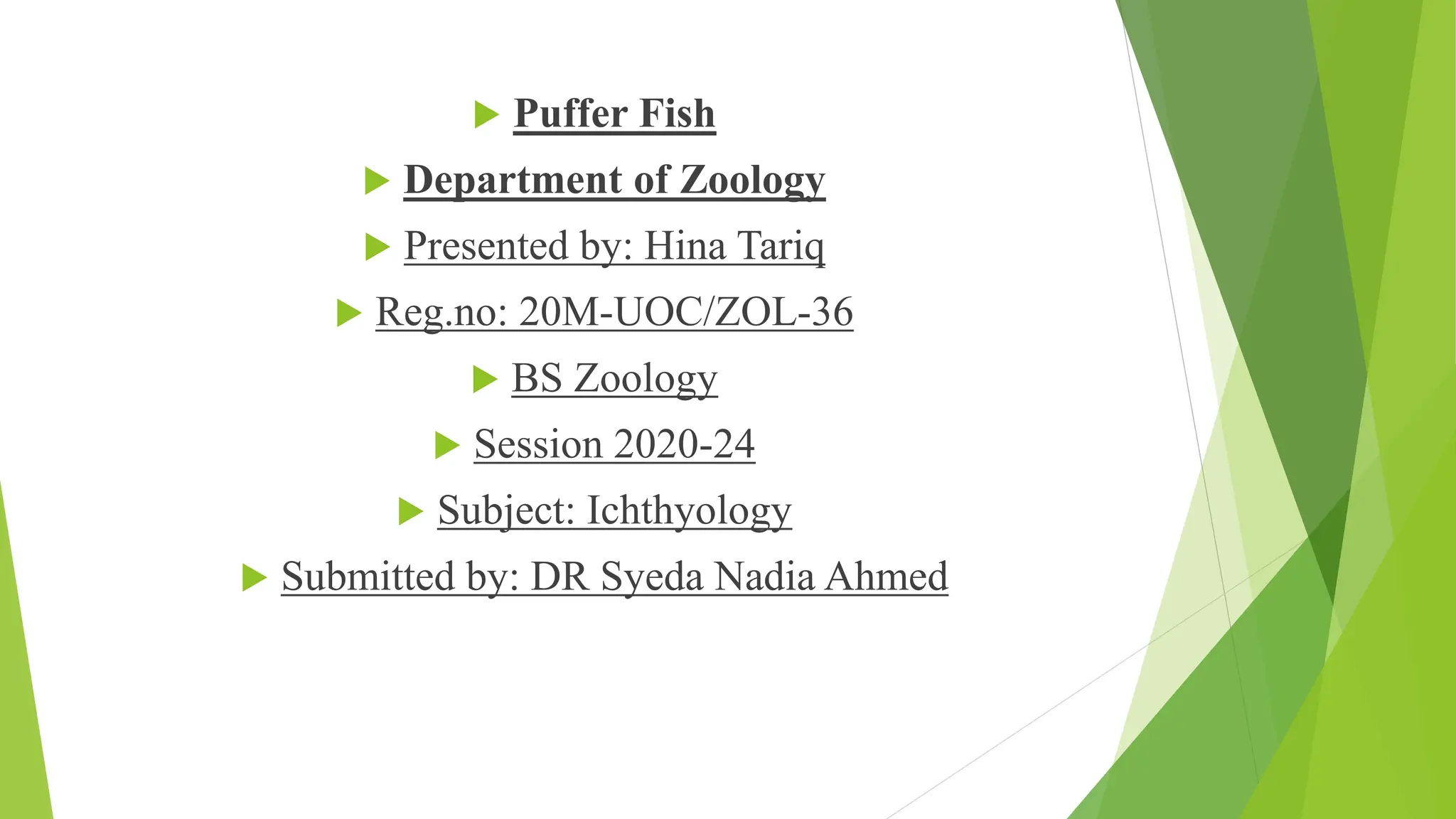 Puffer fish introduction, Morphology and its behaviour characteristics ...