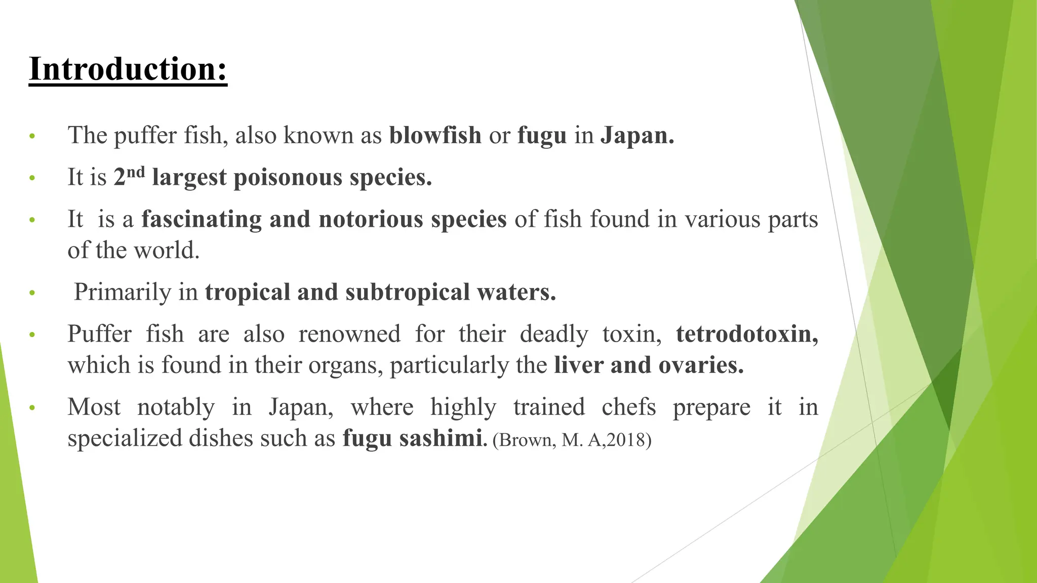 Puffer fish introduction, Morphology and its behaviour characteristics ...