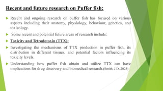 Puffer fish introduction, Morphology and its behaviour characteristics ...