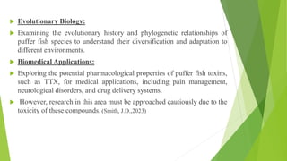 Puffer fish introduction, Morphology and its behaviour characteristics ...