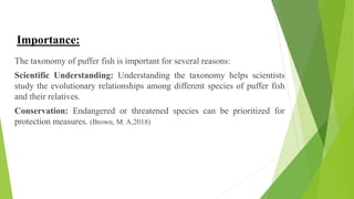 Puffer fish introduction, Morphology and its behaviour characteristics ...