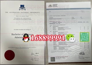 The Australian National University degree offer diploma Transcript | PDF | Undergraduate ...