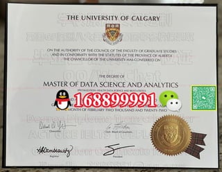 University of Calgary degree offer diploma Transcript | PDF