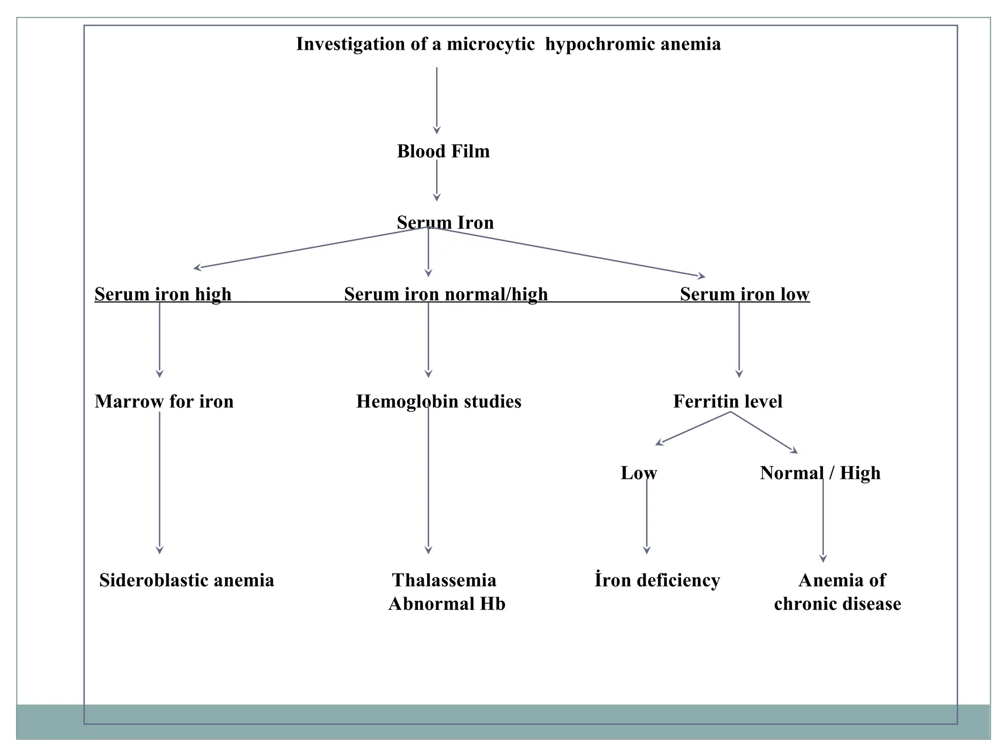 36- Anemia power point classificationnnn | PPT