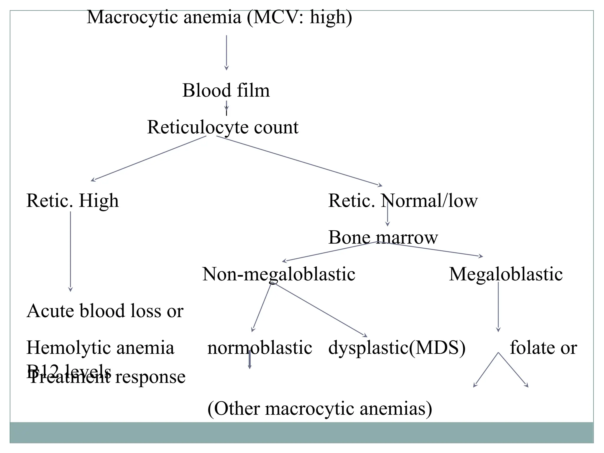 36- Anemia power point classificationnnn | PPT