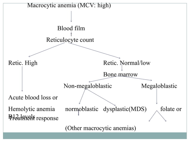 36- Anemia power point classificationnnn | PPT