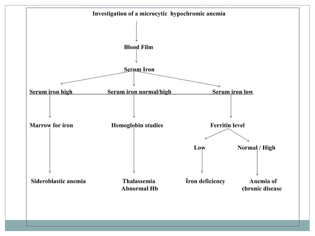 36- Anemia (1).ppt anemia adult health nurses p | PPT