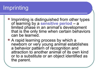 Animal behavior | PPT