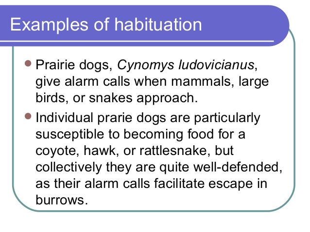 Example Of Habituation In Psychology – EDKNFQ