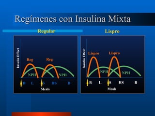36. insulinoterapia | PPT