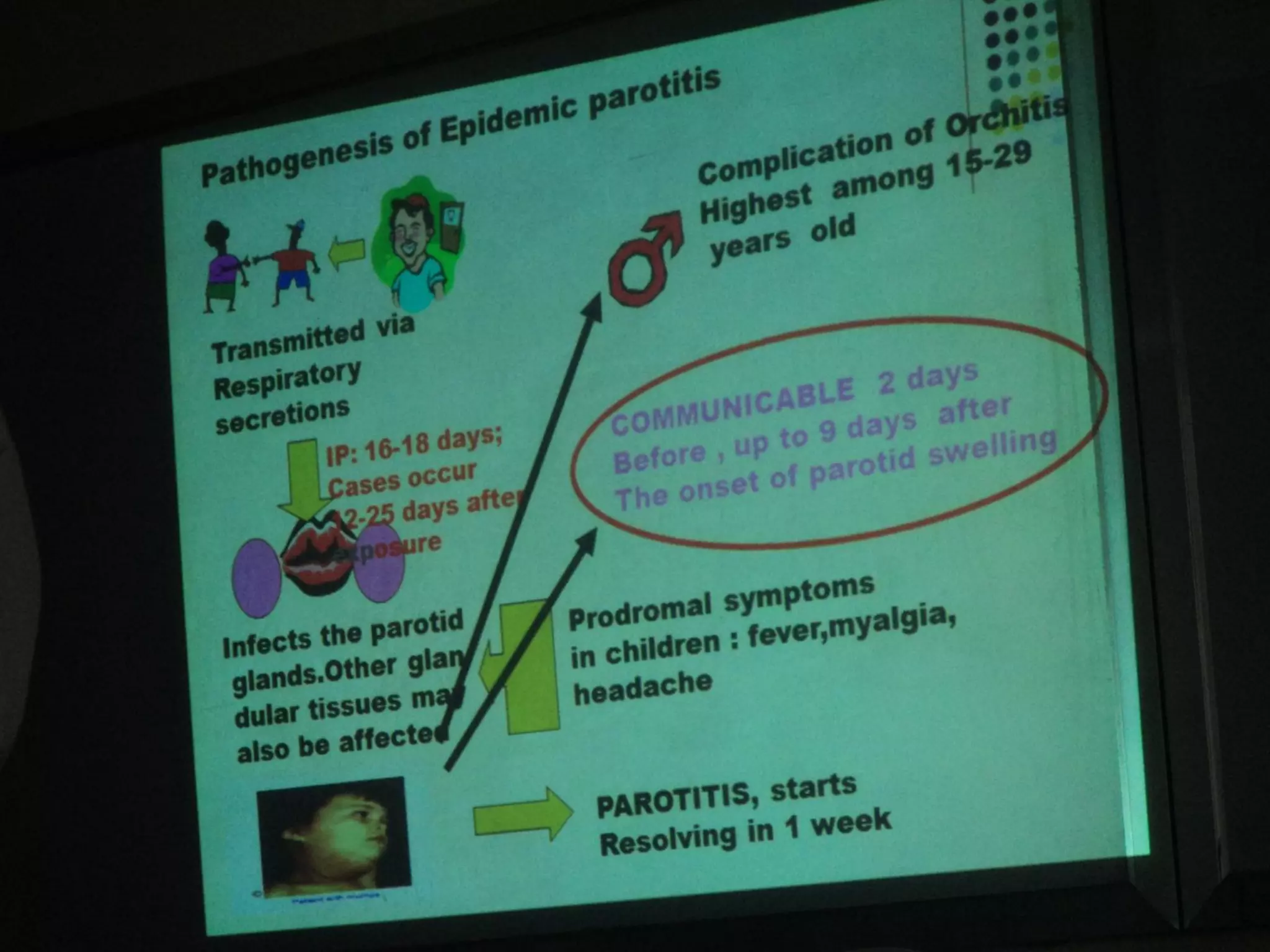 36. rna virus i (picorna, paramyxo and orthomyxo) | PPT