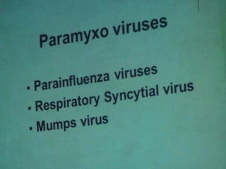 36. rna virus i (picorna, paramyxo and orthomyxo) | PDF