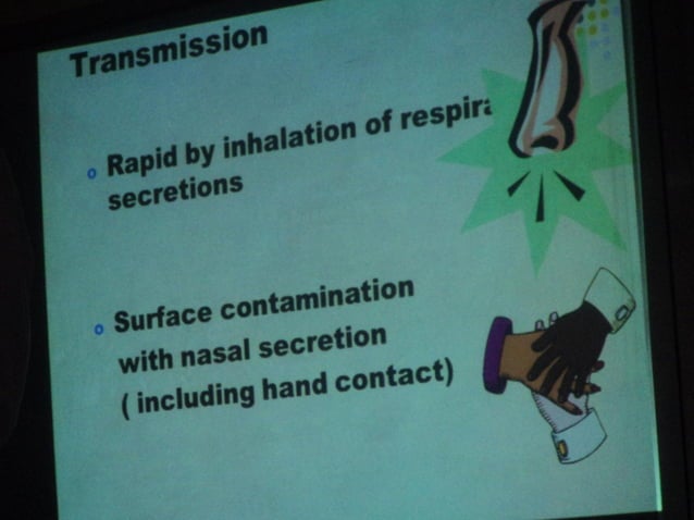 36. rna virus i (picorna, paramyxo and orthomyxo) | PPT