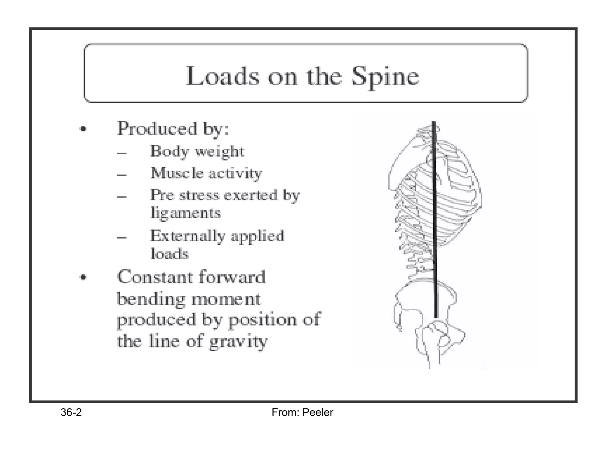 36-Slides - Spine Biomechanics.pdf