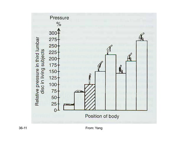36-Slides - Spine Biomechanics.pdf