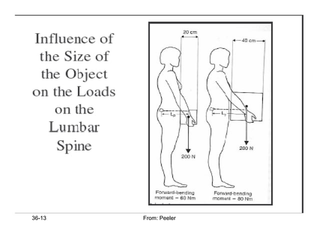 36-Slides - Spine Biomechanics.pdf | Free Download