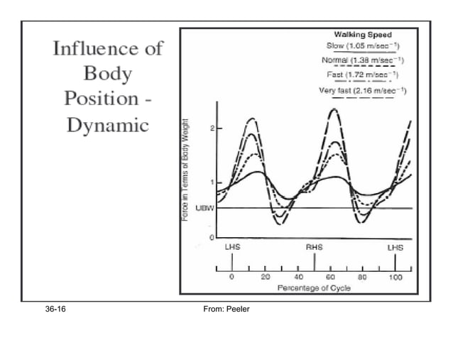 36-Slides - Spine Biomechanics.pdf | Free Download