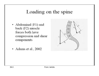 36-Slides - Spine Biomechanics.pdf | Free Download