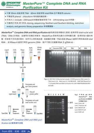 2010創世紀專刊_RNA Extraction_100708 | PDF