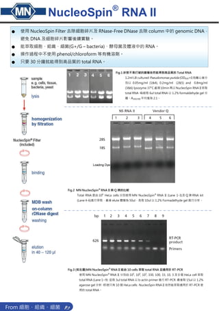 2010創世紀專刊_RNA Extraction_100708 | PDF
