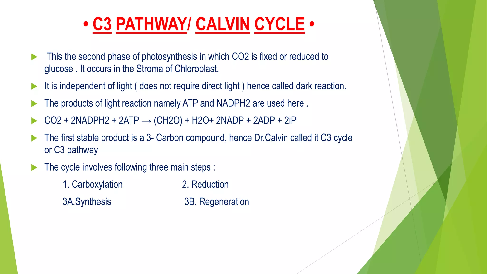 3604 - KG - Unit 01 - Photosynthesis.pptx
