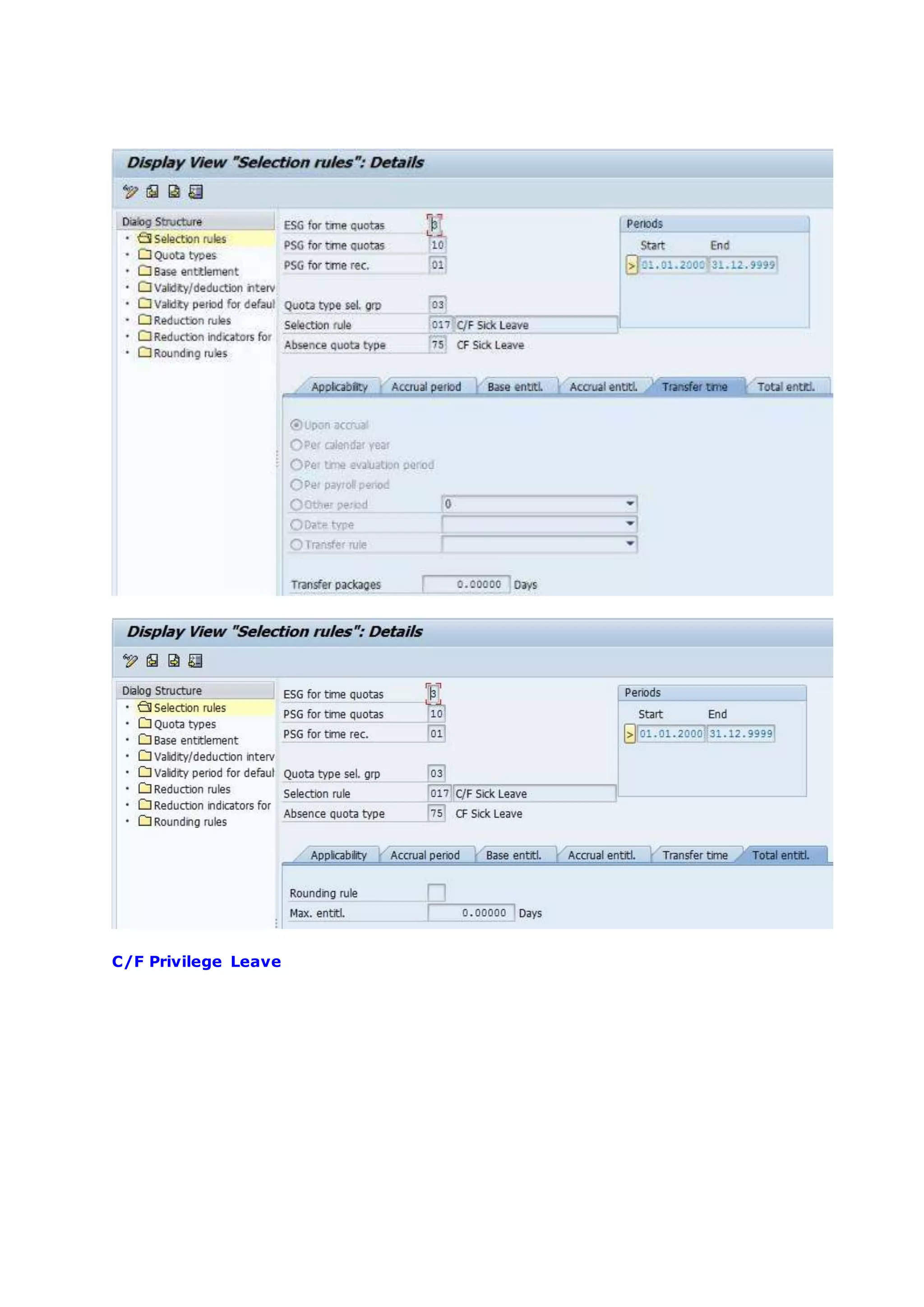 How to create Leave balance carry forward in SAP HCM | DOCX