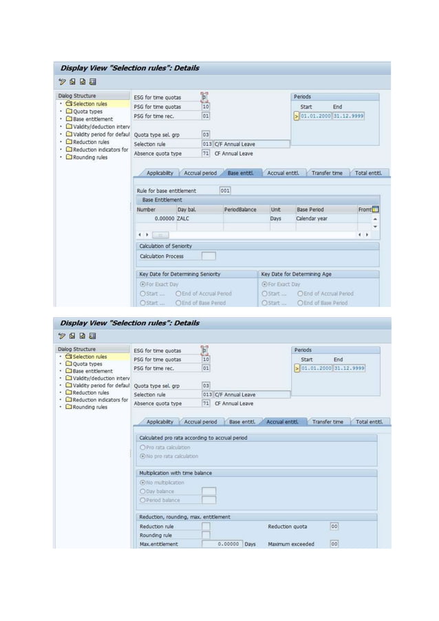 How to create Leave balance carry forward in SAP HCM | DOCX | Technology & Computing