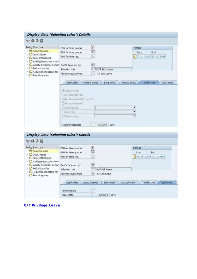 How to create Leave balance carry forward in SAP HCM | DOCX | Technology & Computing